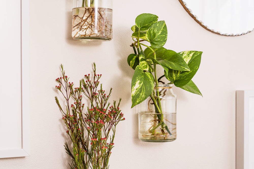 Our Inspiration | Moccona MY